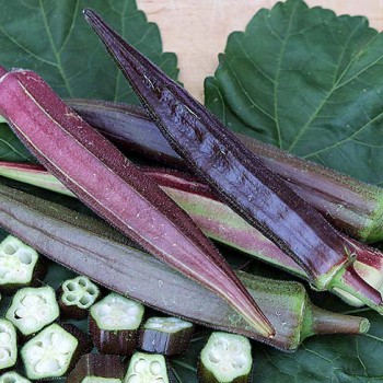 okra colour