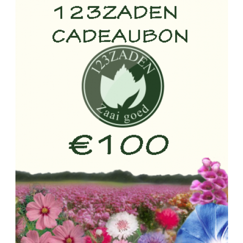 10 euro cadeaubon