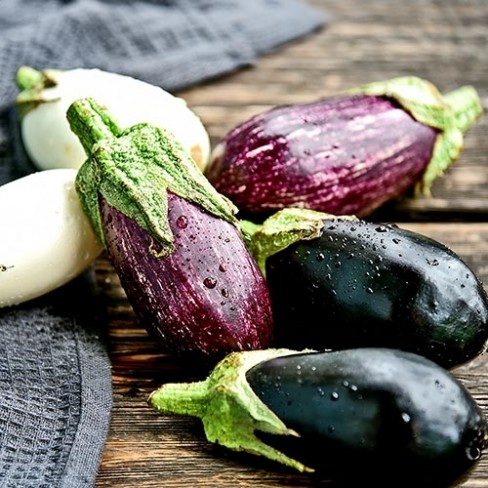 Aubergine mixed - Vegetable seeds