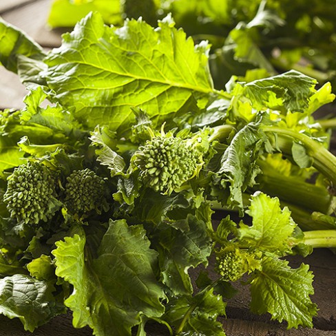 Broccoli rabe Ricchia di San Marzano