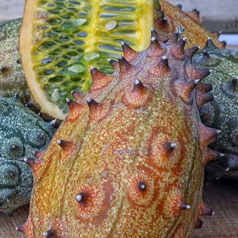 Kiwano (African Horned Cucumber)