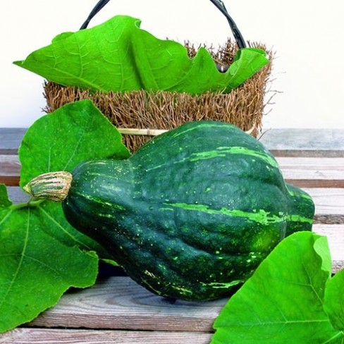 Pumpkin Green Hubbard seeds