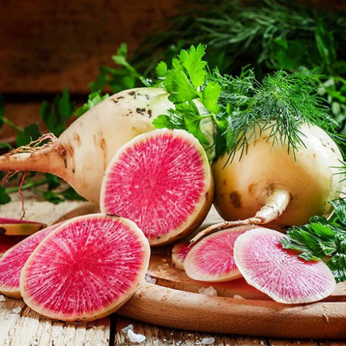 Radijs Watermeloen - Vegetable seeds