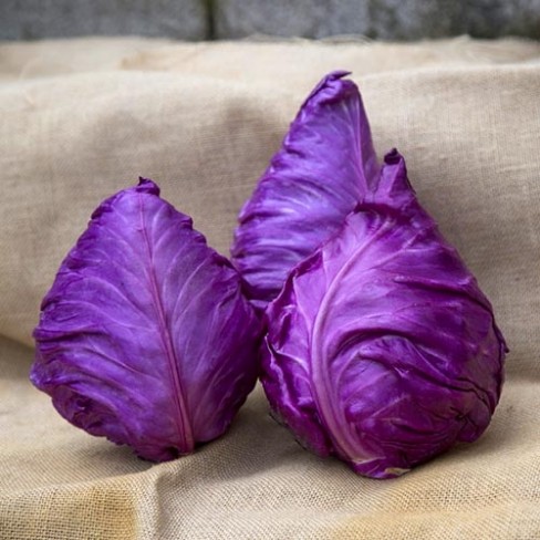 Oxheart Cabbage Kalibos