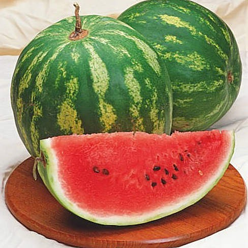 Watermelon Crimson Sweet