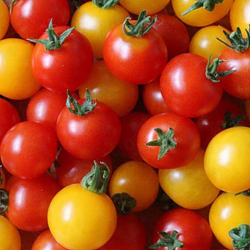 Container tomato Window Box mixed