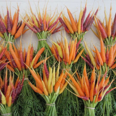 Carrot Rainbow mix